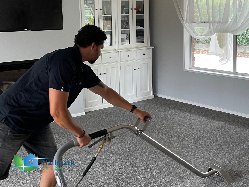 Franchise | Franchise Opportunity | Hallmark Services